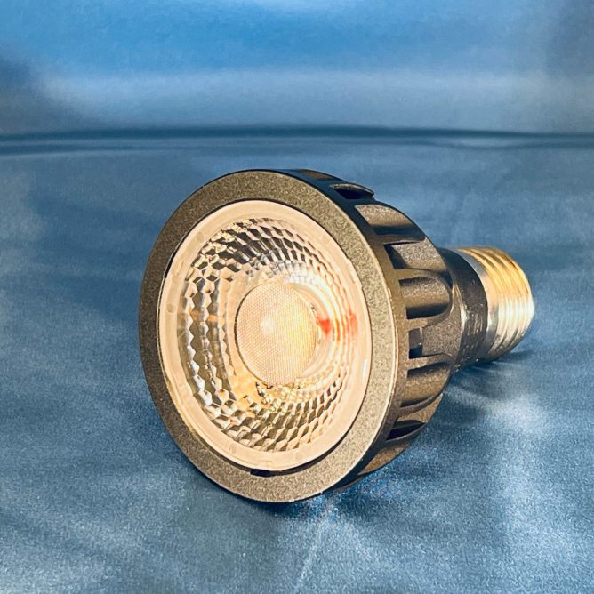 Moon Shine 10W PAR20 6K – Moon Visions Lighting